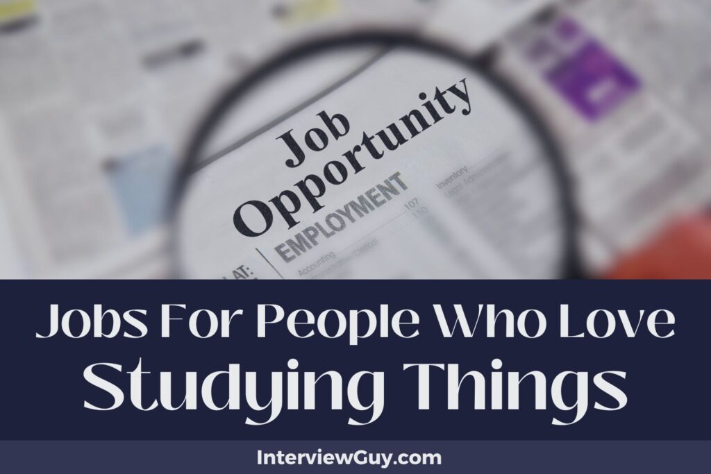 32 Jobs For Smart People (Clever Career Choices)
