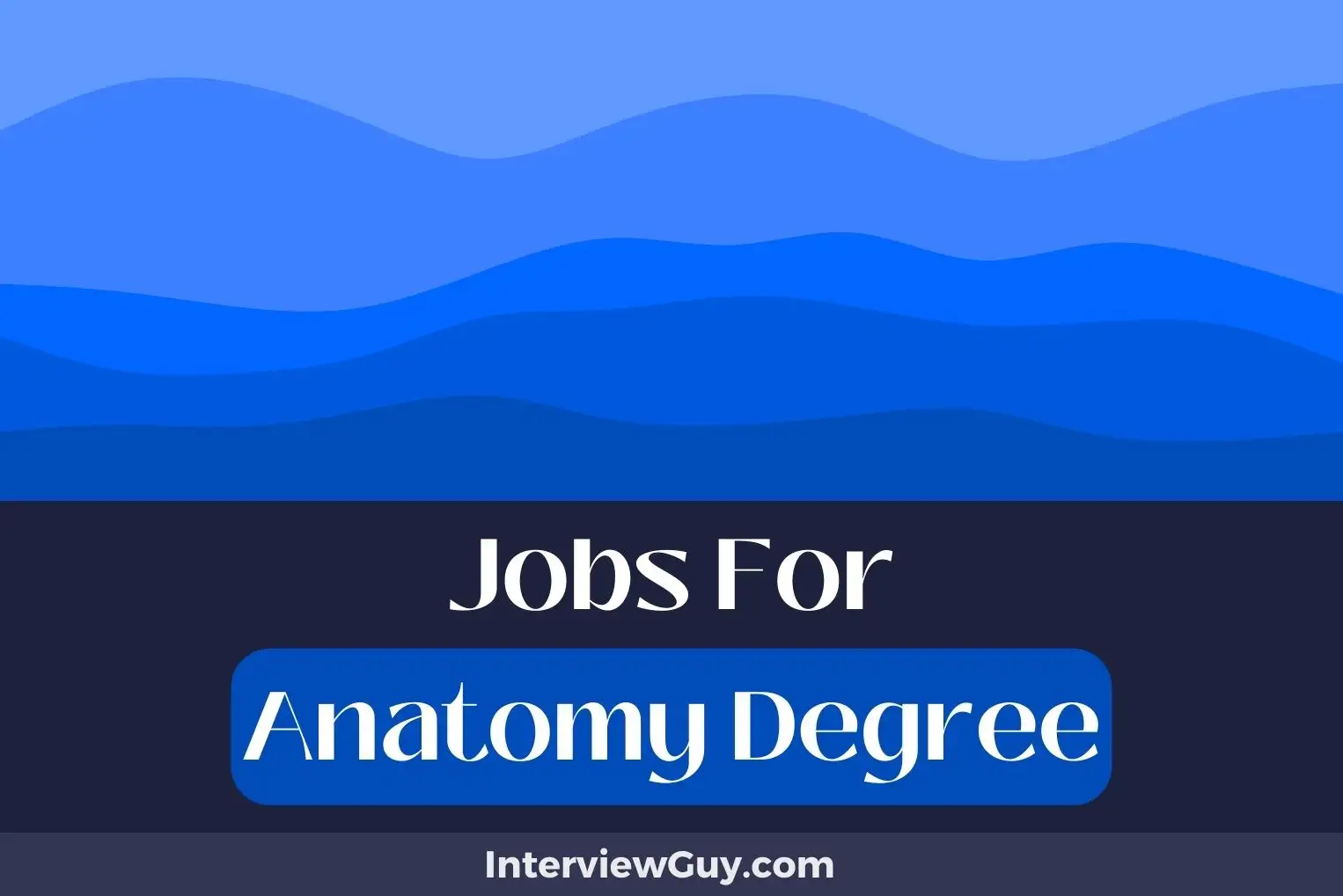 28 Jobs For Anatomy Degree Anatomical Architects 28 Jobs For Anatomy Degree Anatomical Architects